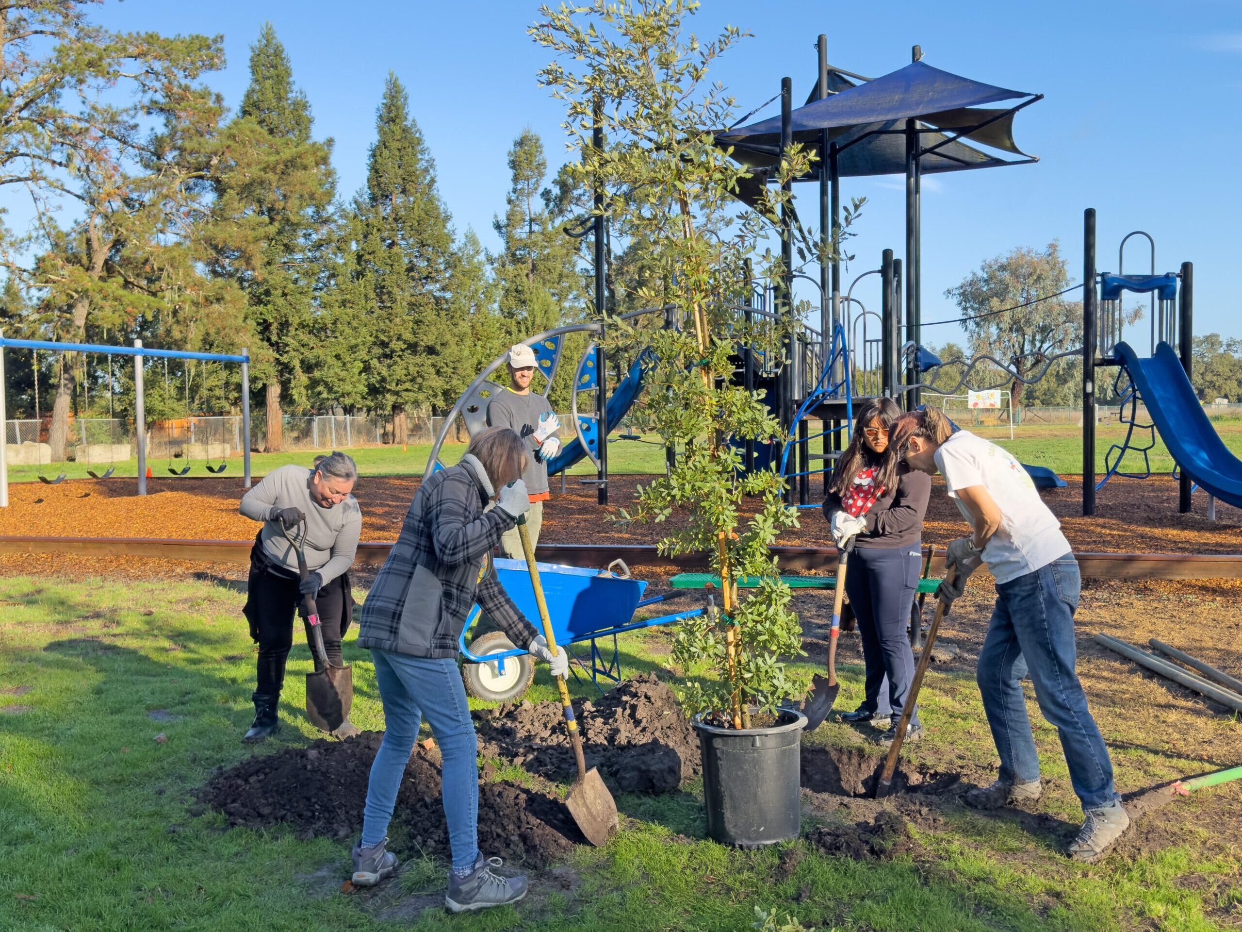 Transforming Playgrounds Through The Green Schoolyards Project | Sonoma ...