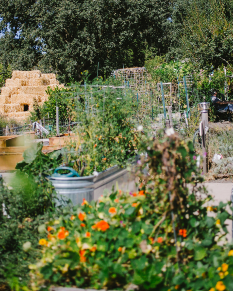 FULL: Garden Planning & Seed Starting Workshop | Sonoma Ecology Center