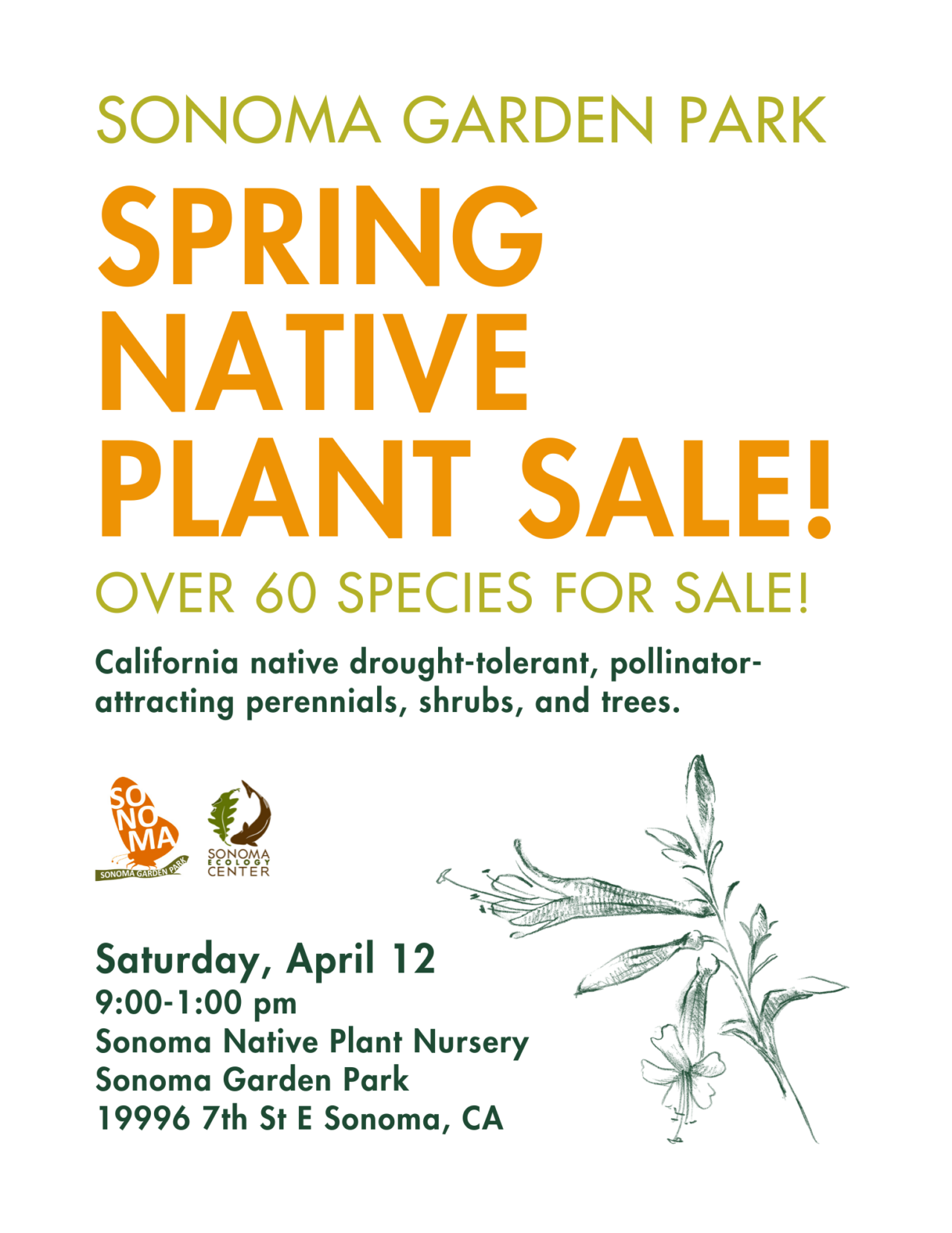 Spring Native Plant Sale | Sonoma Ecology Center