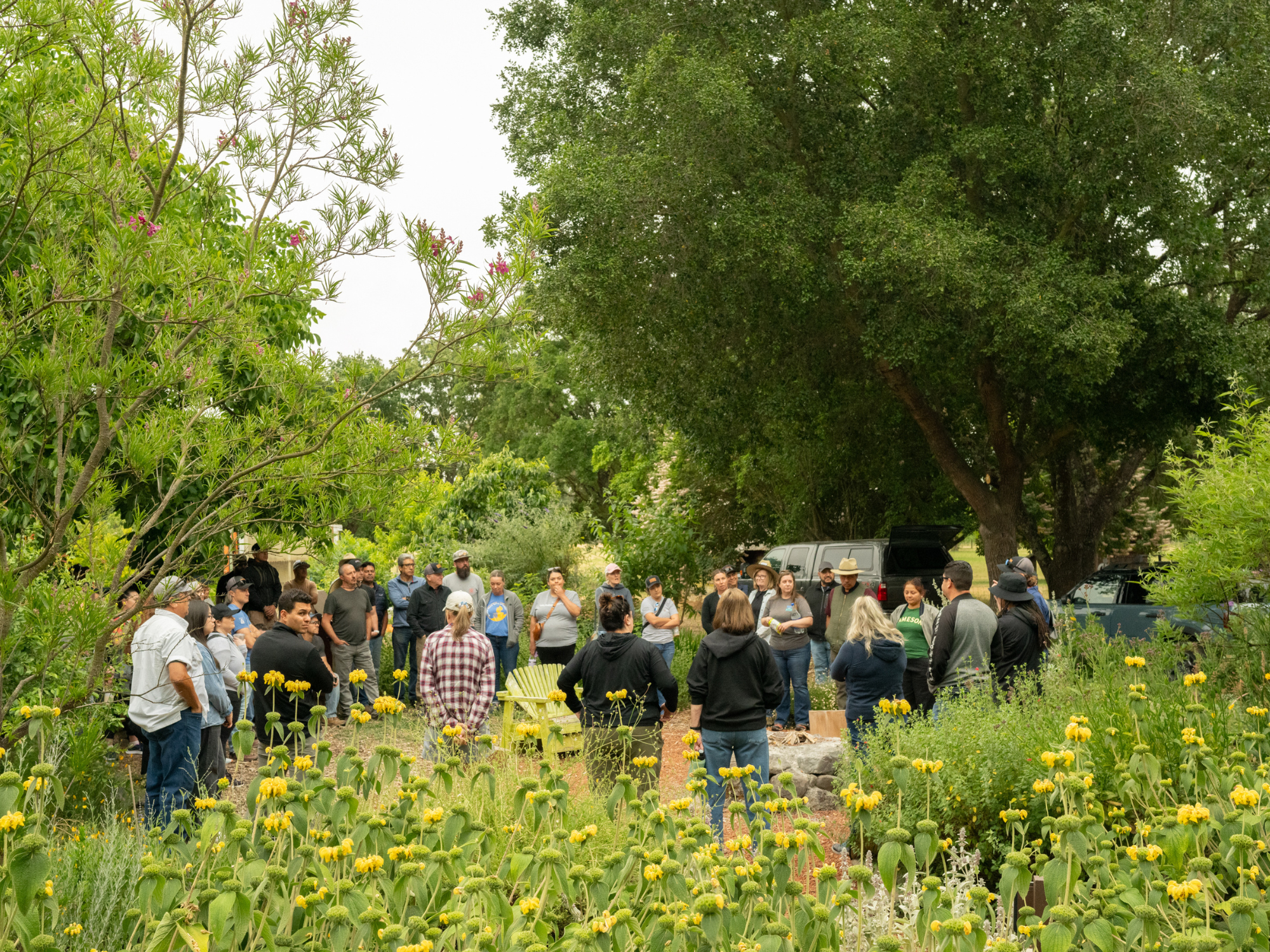 Other Ways to Give | Sonoma Ecology Center