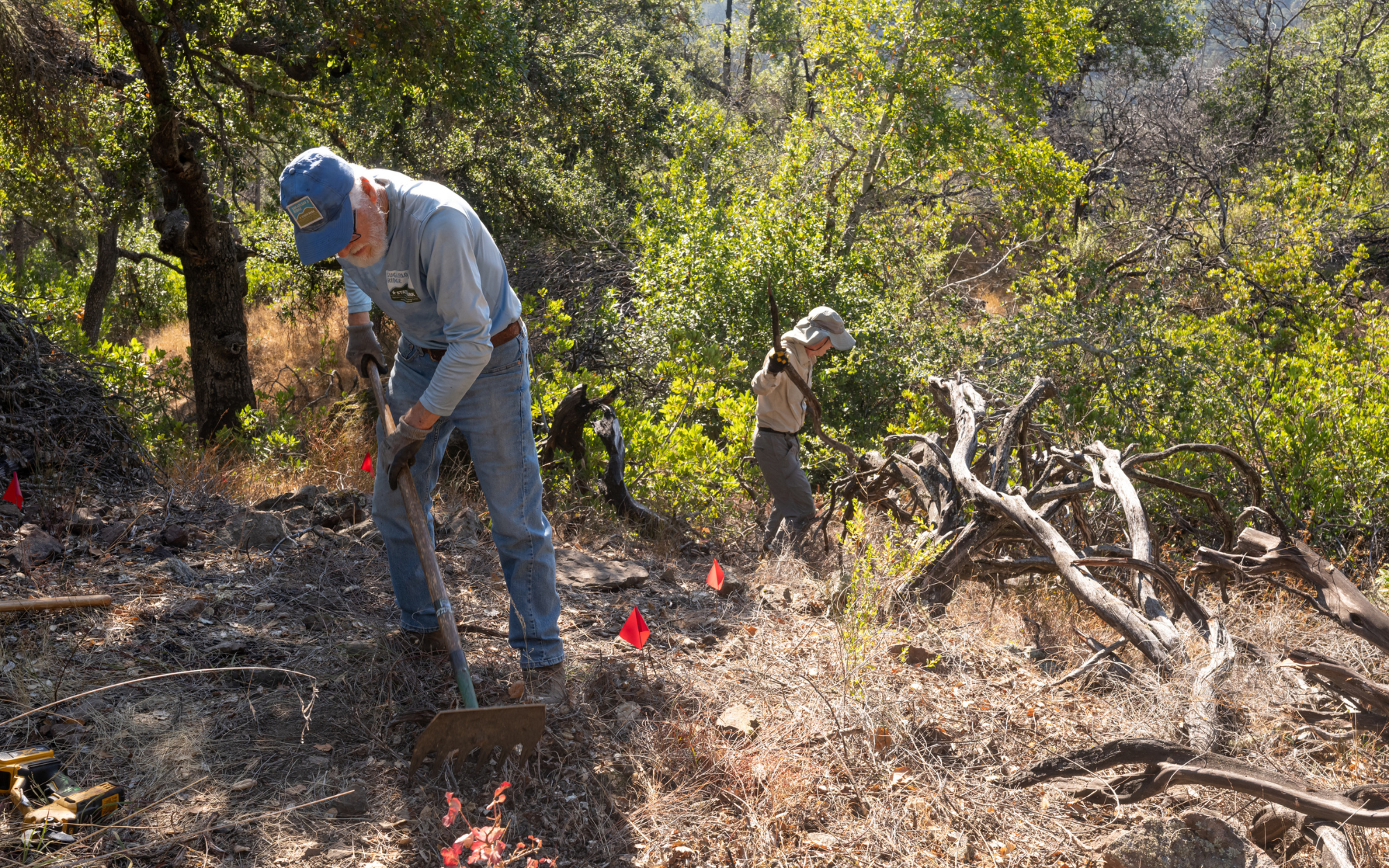 Sugarloaf Ridge State Park | Sonoma Ecology Center
